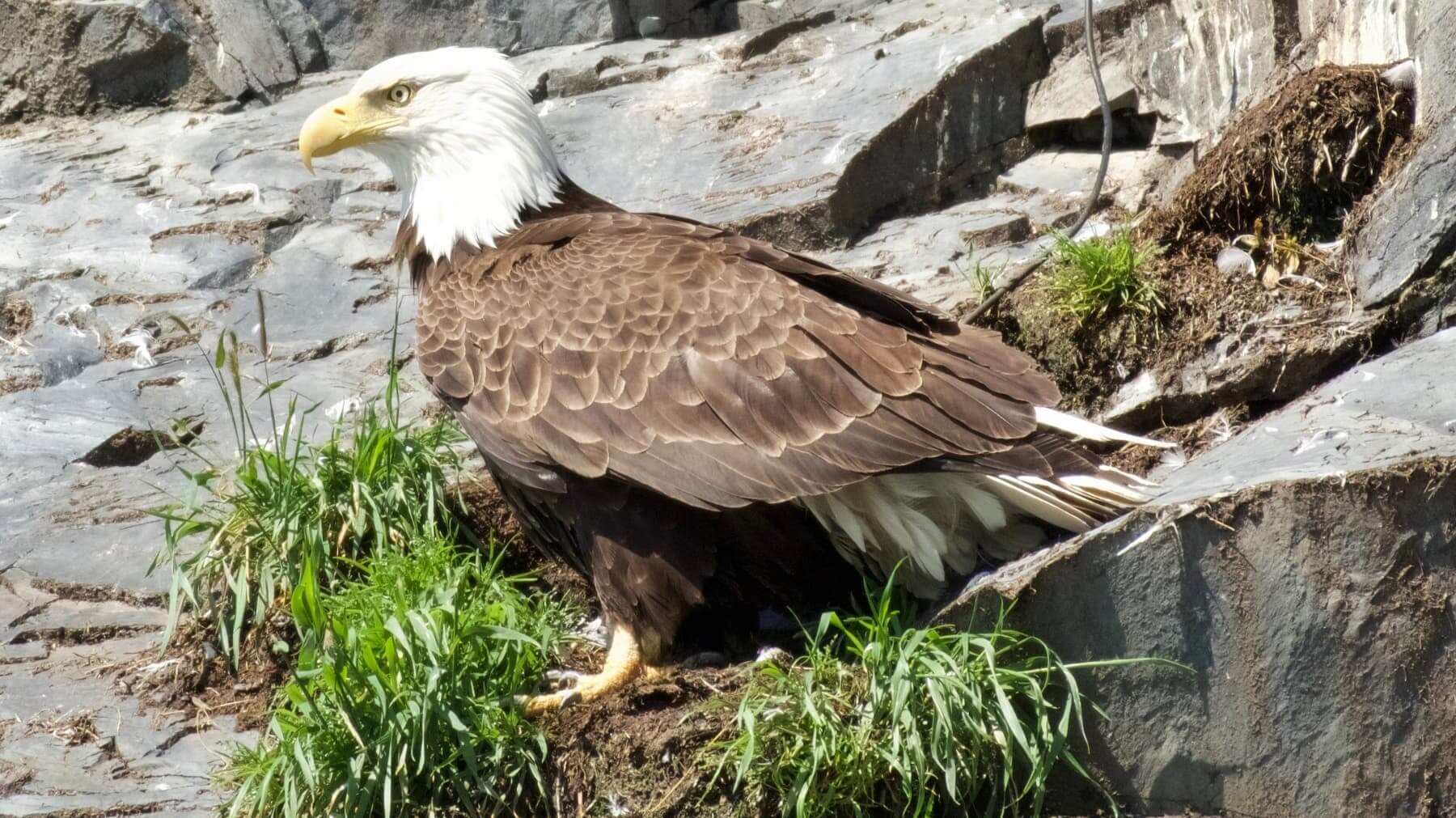 The Weird & Wonderful: My Three Strangest Wildlife Sightings in 2017 ...