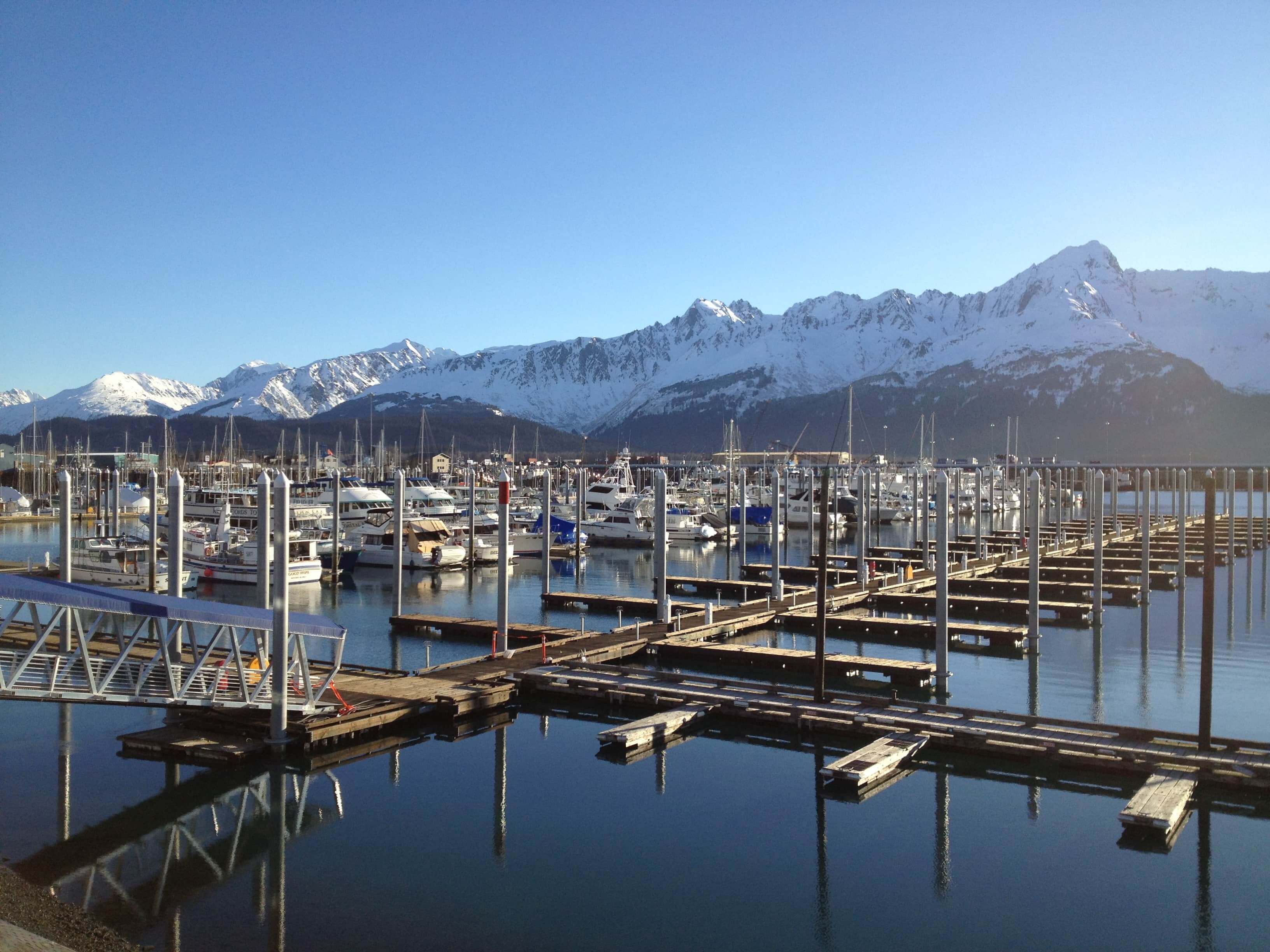 Top Things to do in Seward this Spring | Major Marine Tours