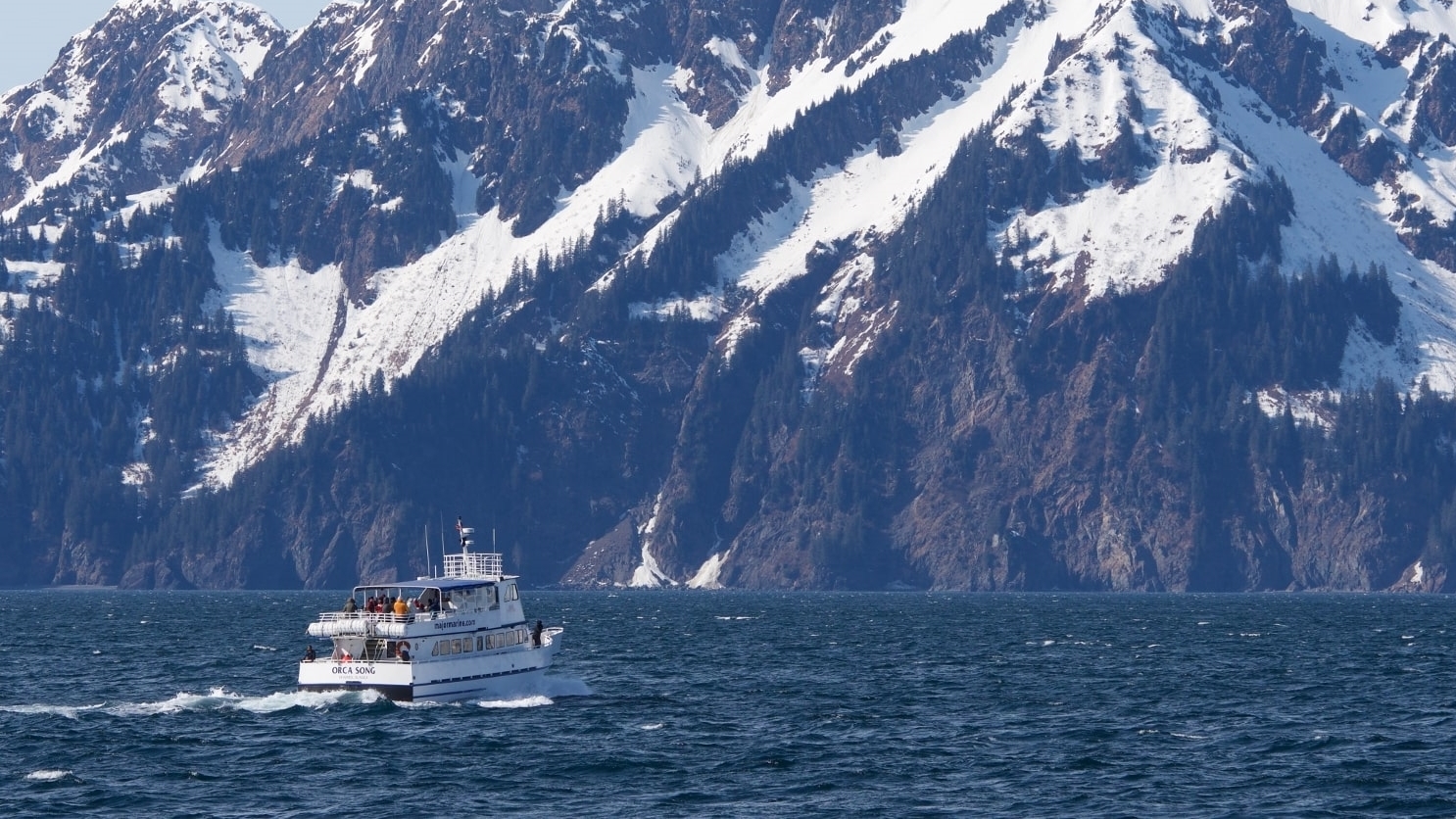 Top Things to do in Seward this Spring - Major Marine Tours